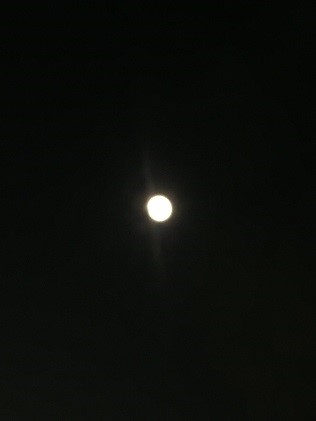 A New Year’s Moon Walk in Matanzas Pass Preserve, Fort Myers Beach ...